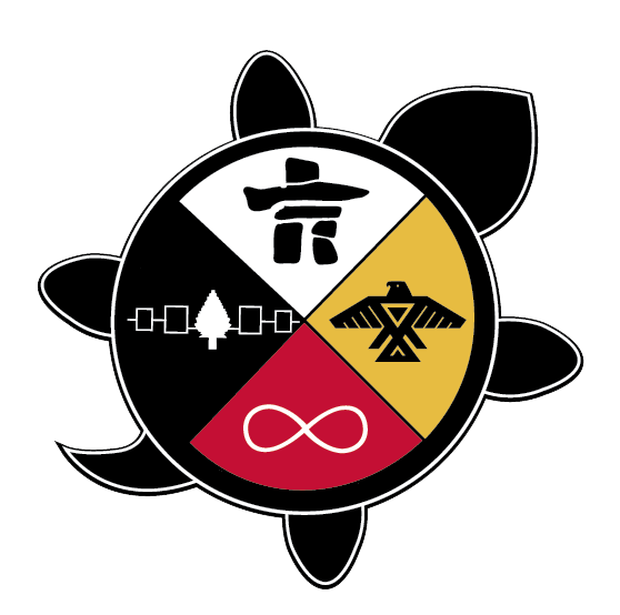 Indigenous Education - Team