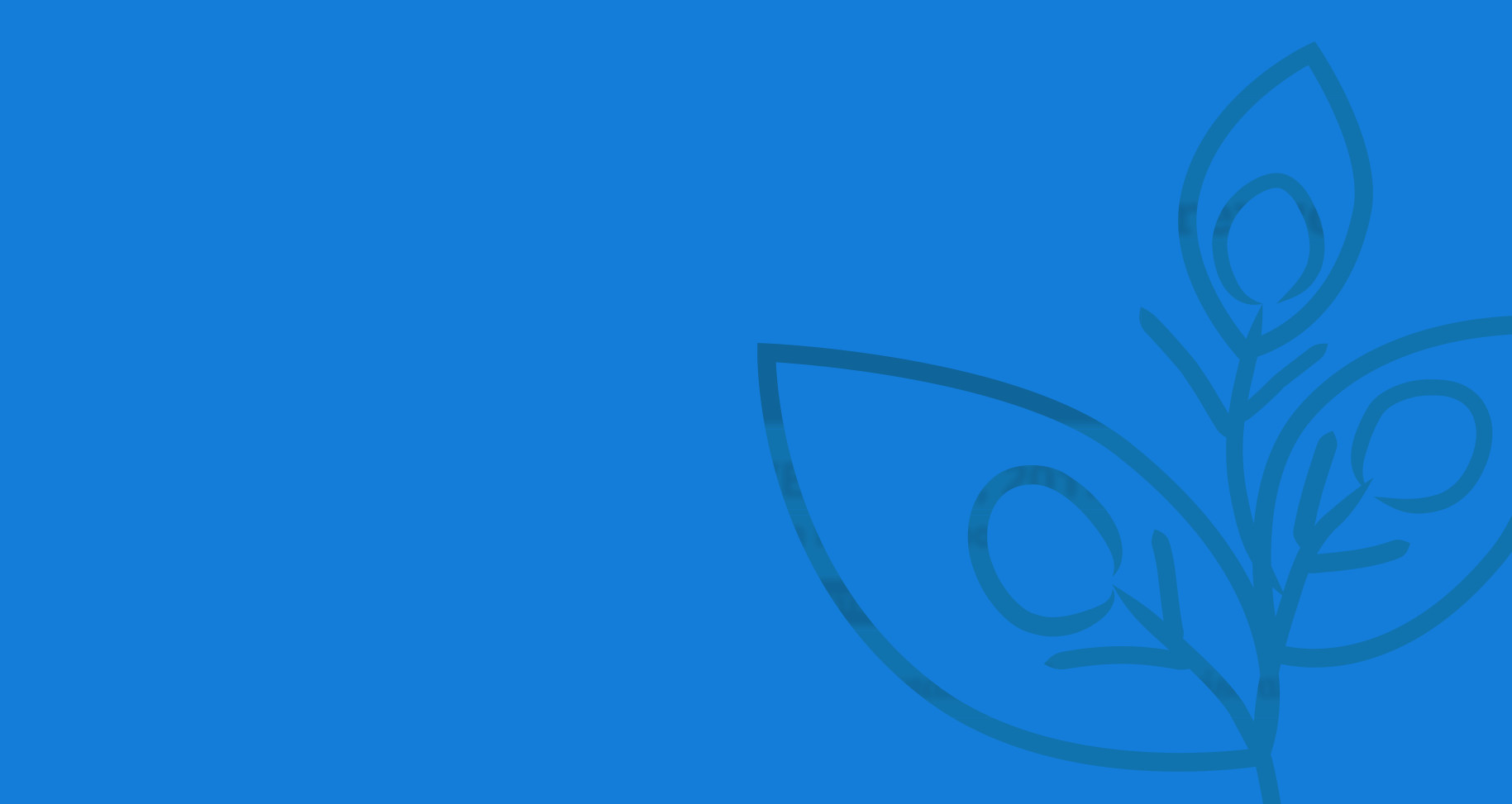 District School Board of Niagara